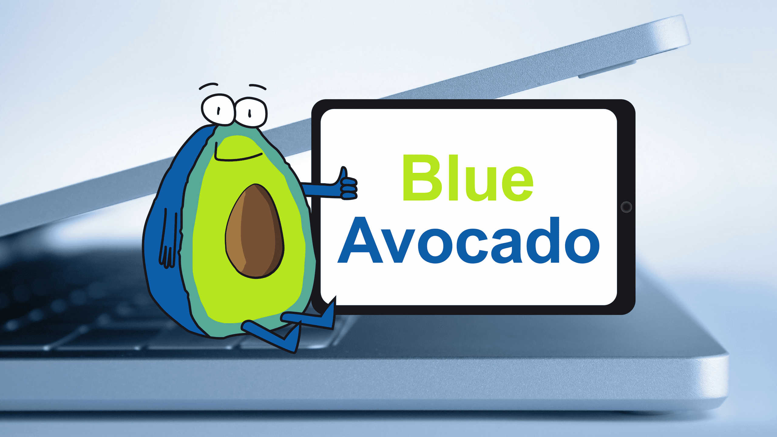 Over ons - Blue Avocado